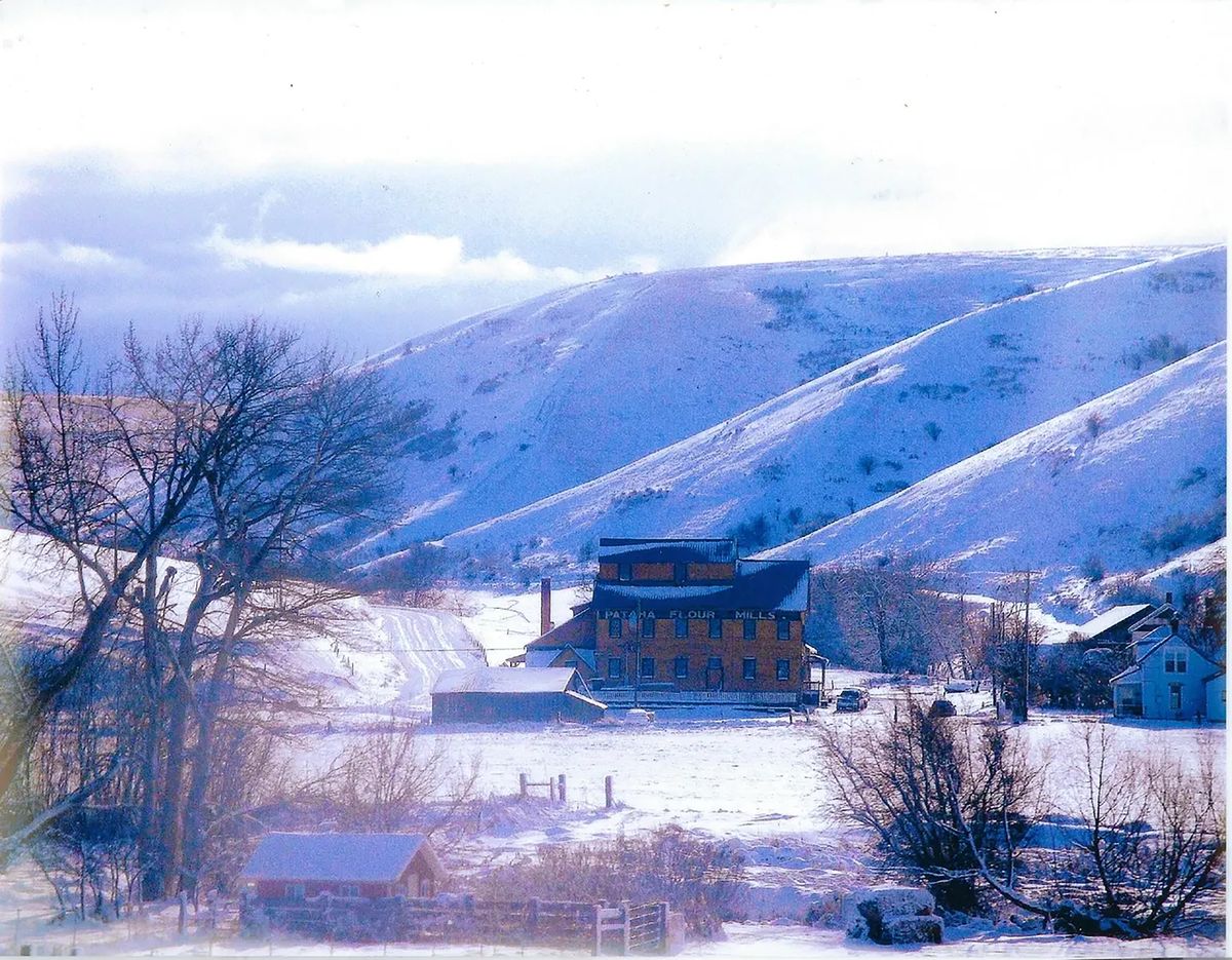 Pataha Flour Mill