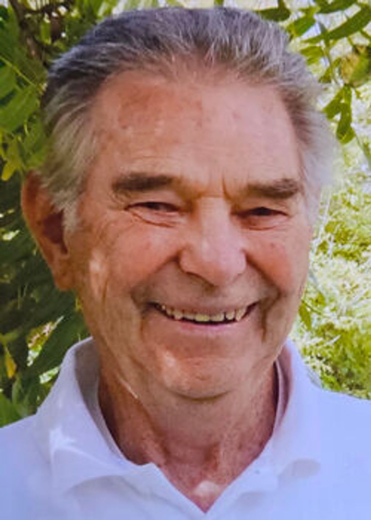 James L. Haines