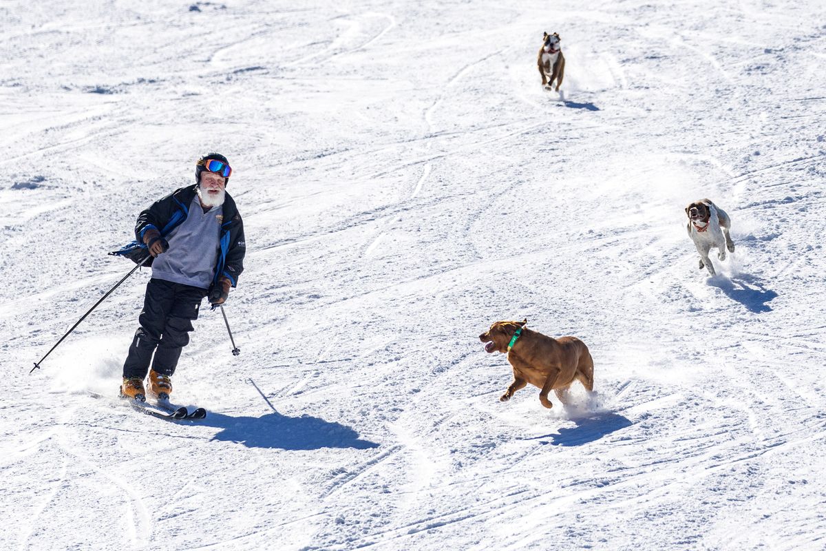 Underdog ski site reeling from weather, insurance dilemmas