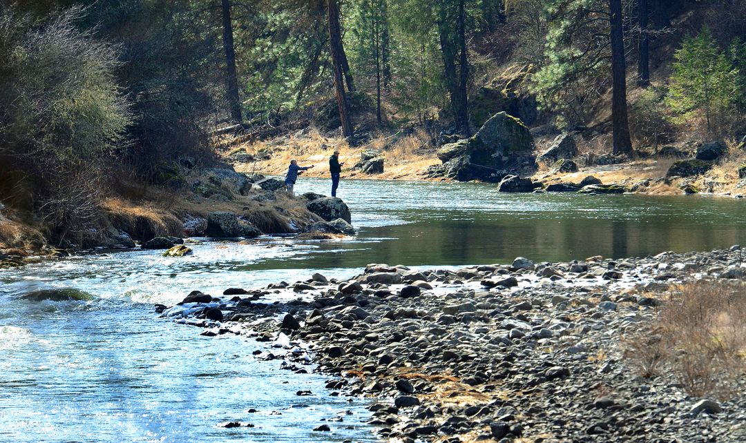 Clearwater River named to endangered rivers list