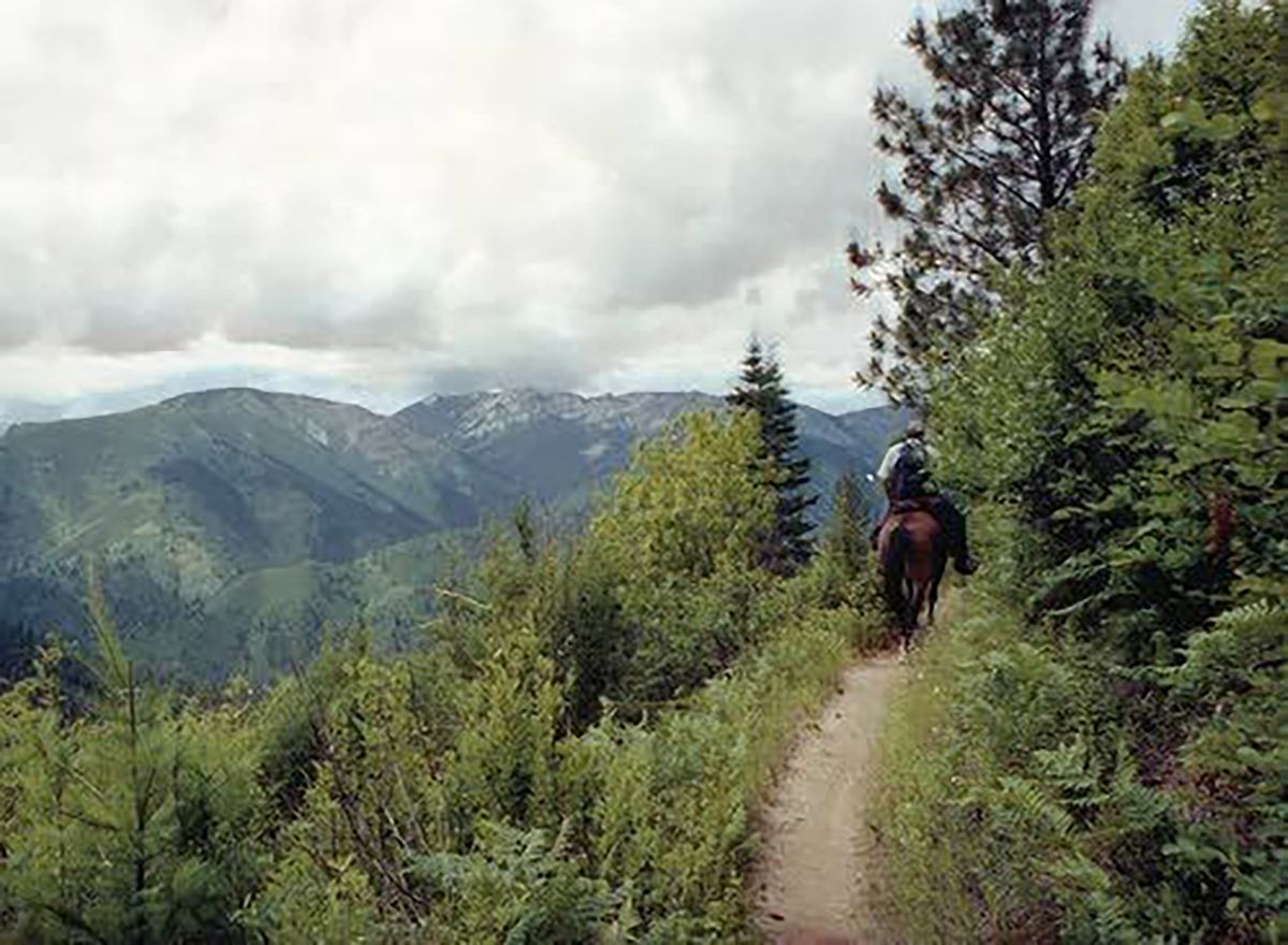 Trump targets roadless rule on U.S. Forest Service land