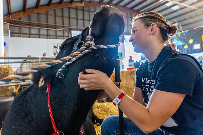 Creative floral entry steals the show at Nez Perce County Fair