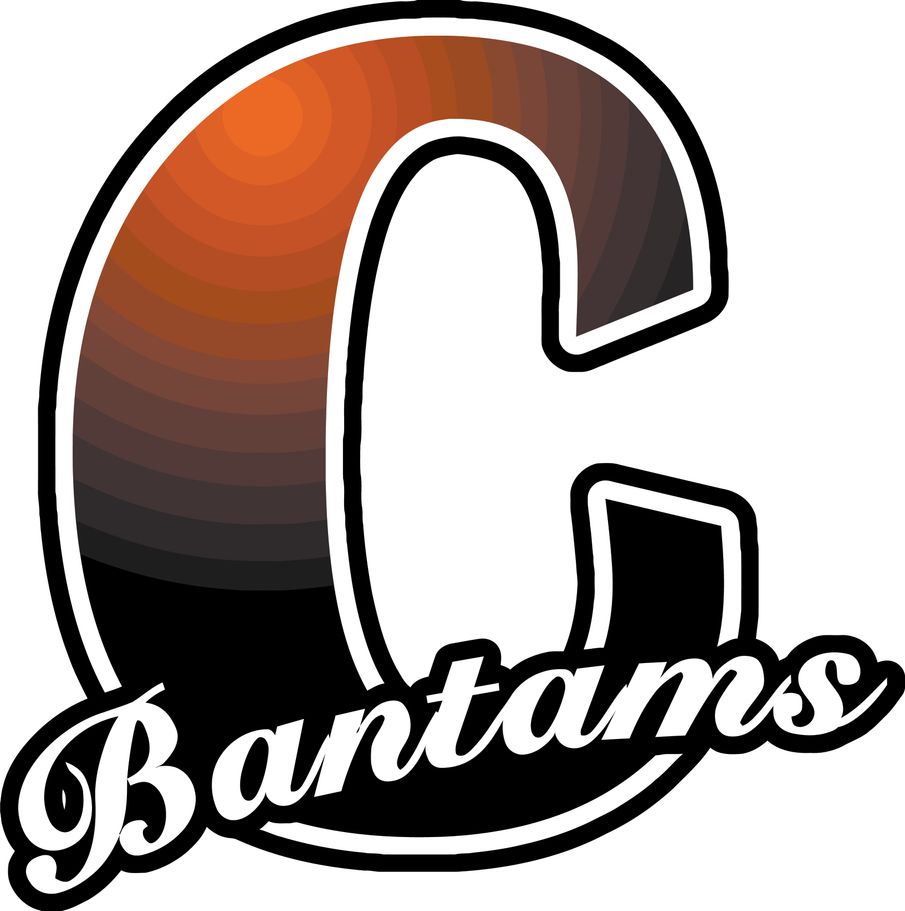 Clarkston girls soccer, volleyball finish regular seasons strong