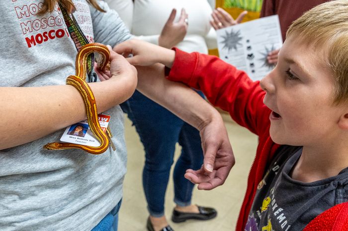 Snakes, Popsicle sticks and a lot of learning