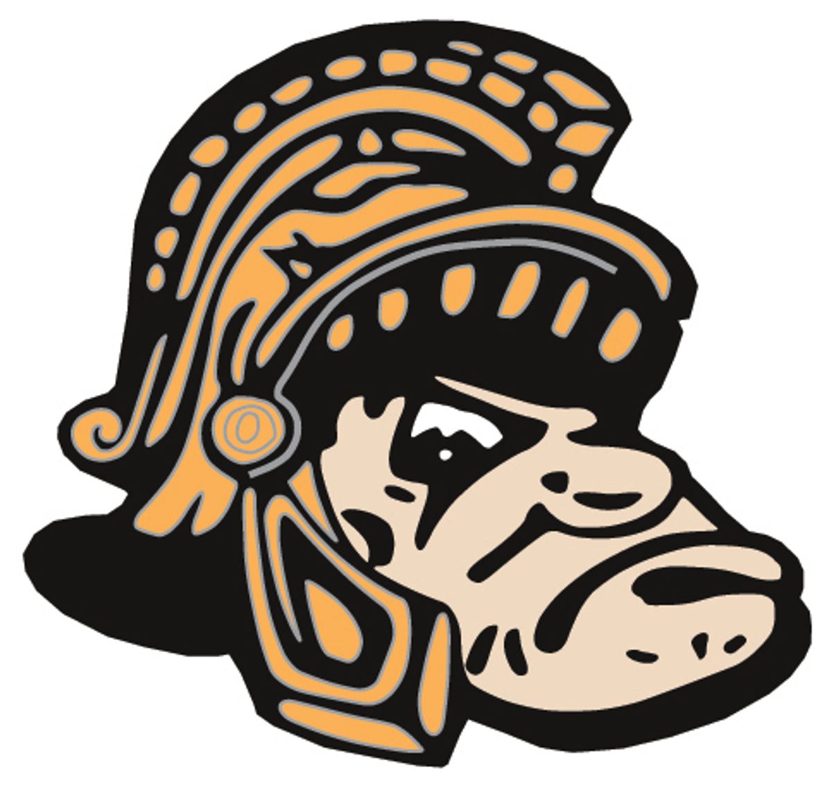 PREP ROUNDUP: District tournament baseball victories for Troy, Clearwa...