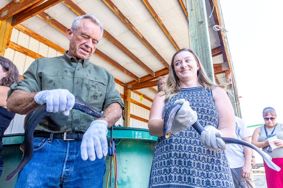 Latest Stories | Moscow-Pullman Daily News