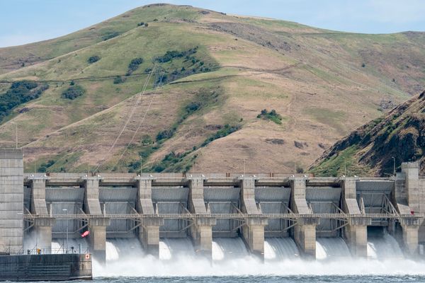 Study looks at water delivery in a post-dam Snake River