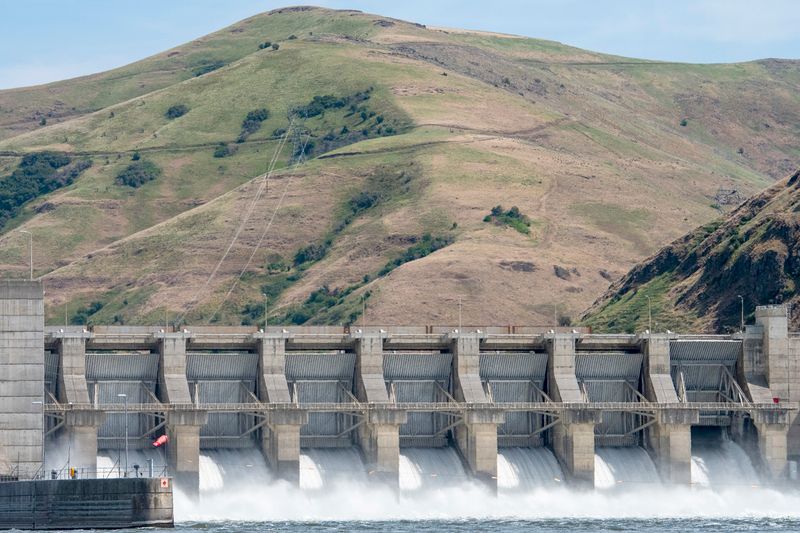 Study looks at water delivery in a post-dam Snake River