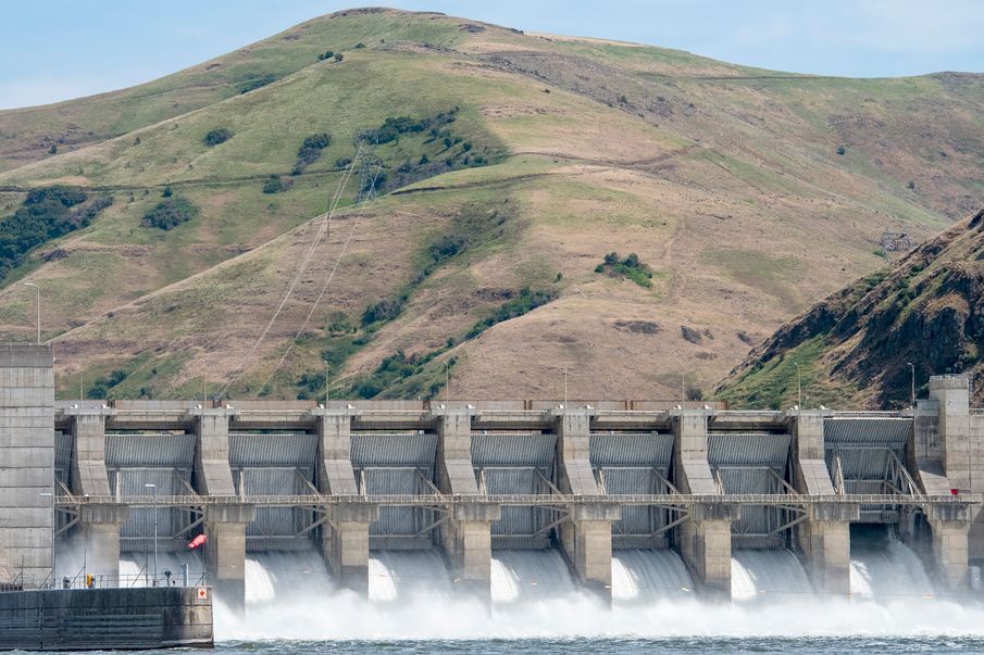 Study looks at water delivery in a post-dam Snake River