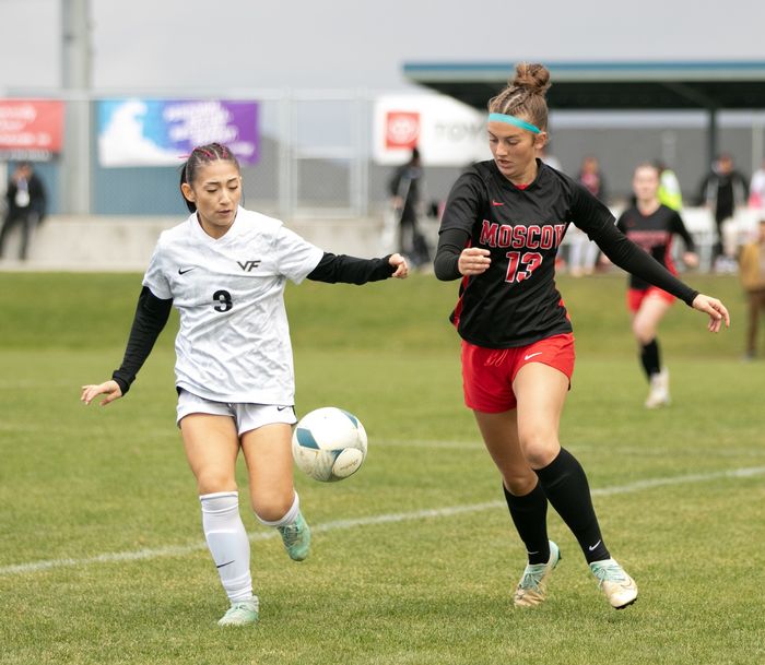 Bears basking in glory of historic title run