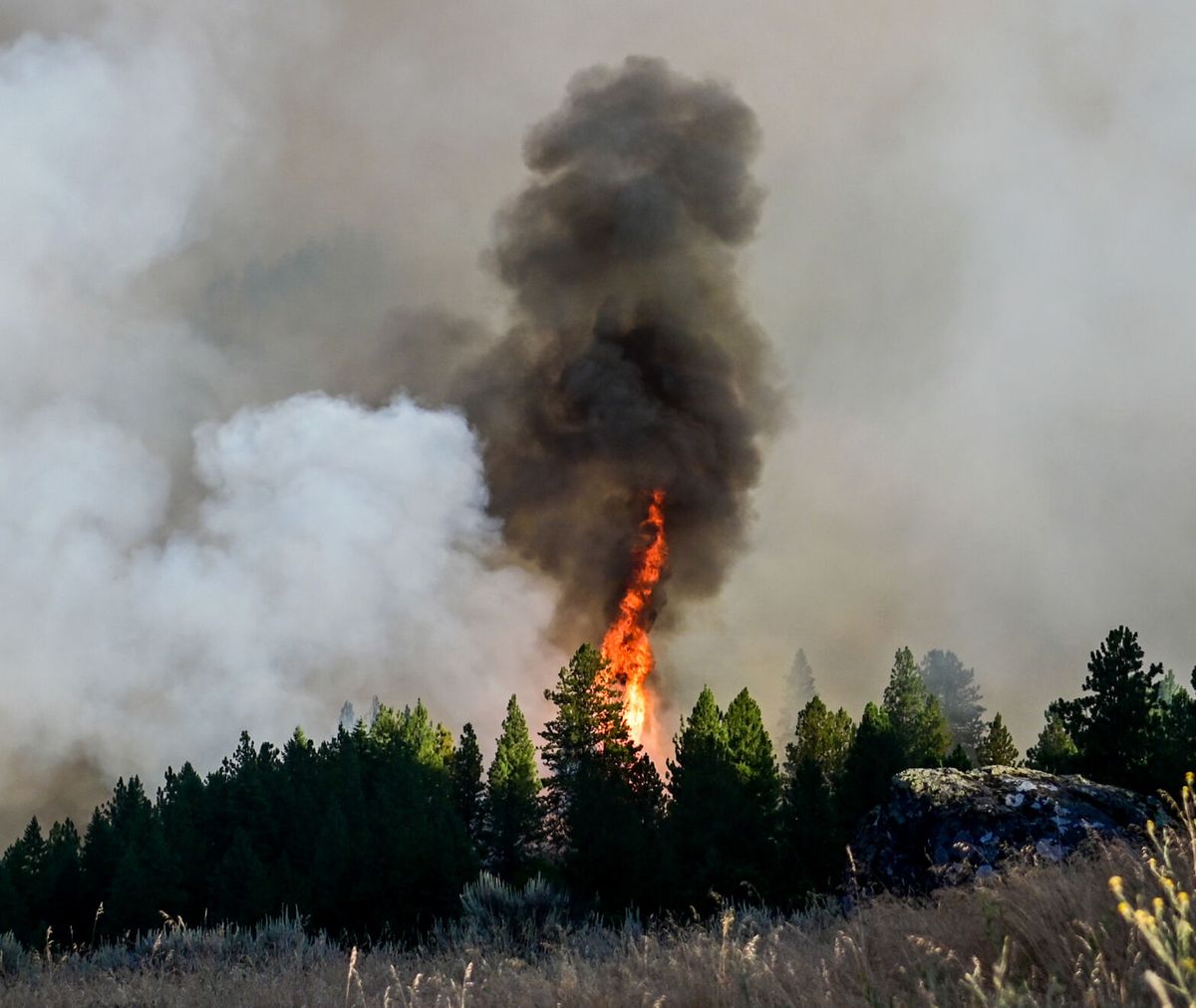 Texas Ridge Fire near Kendrick 60% contained