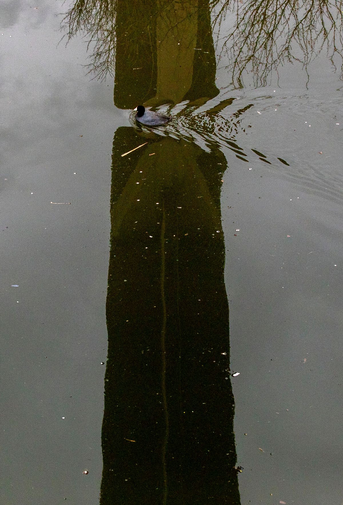 Photo: Bridge breaker