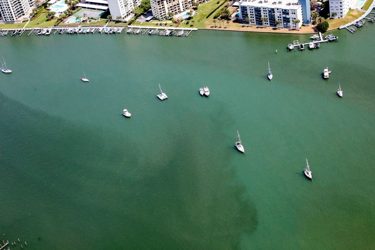 Here to stay? What to know about Florida’s toxic red tide al...