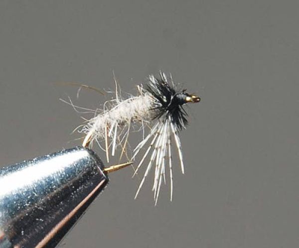 Simple Muskrat helps save the day