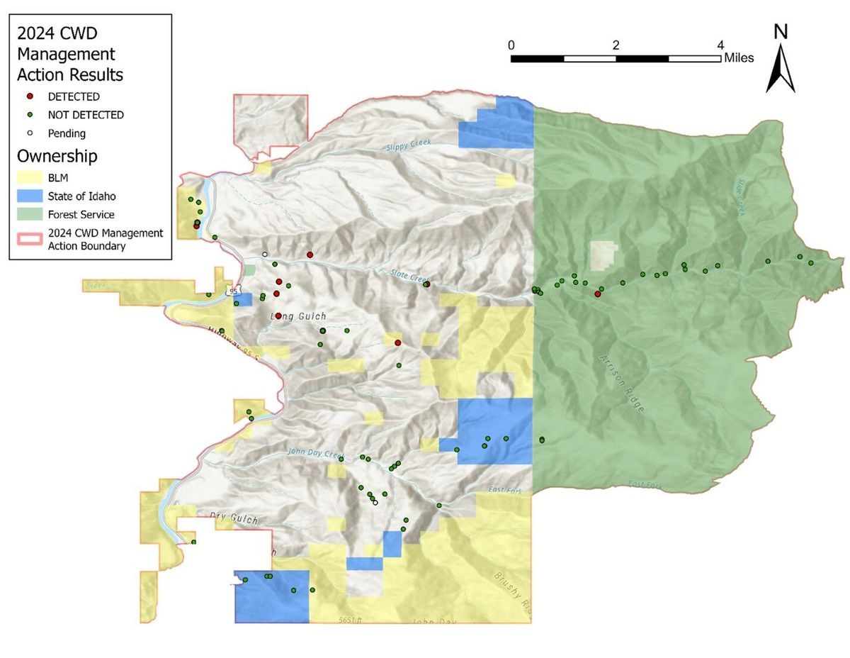 Deer cull near Slate Creek shows 10% of animals had CWD