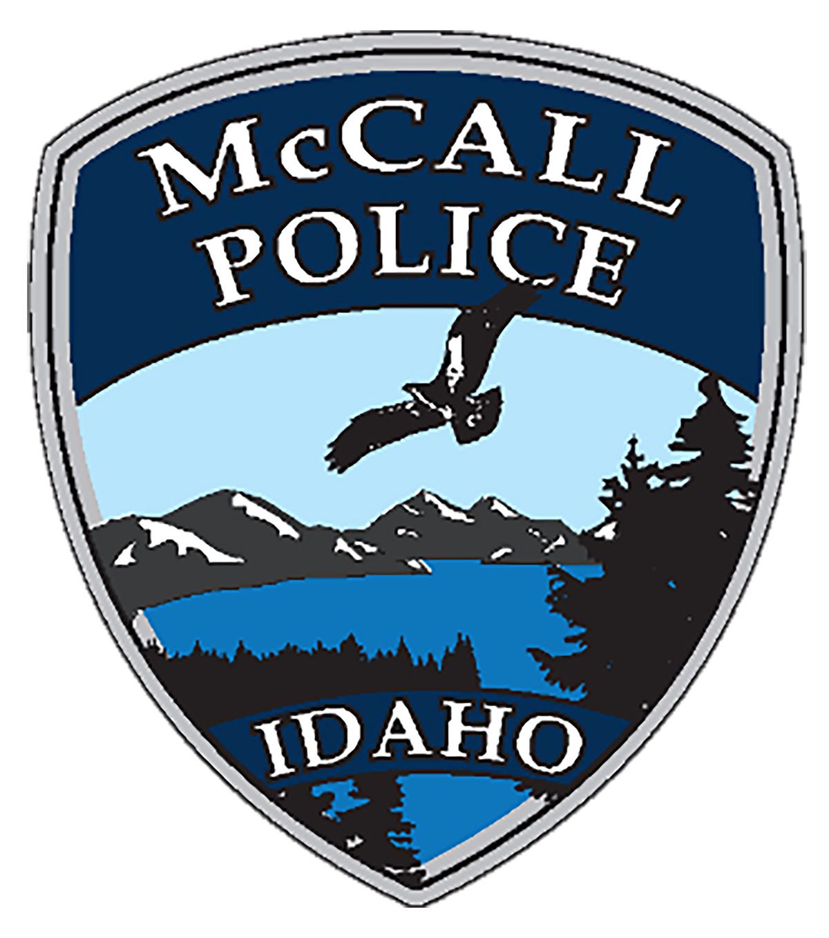 Stolen vehicle leads police on high-speed chase in McCall