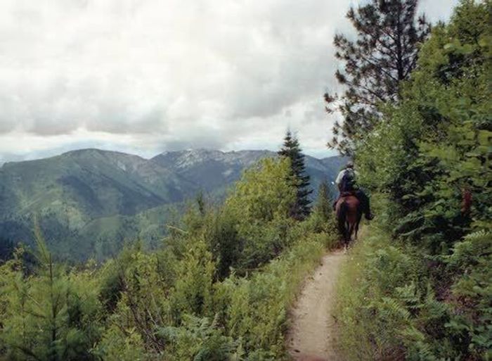 Trump targets roadless rule on U.S. Forest Service land