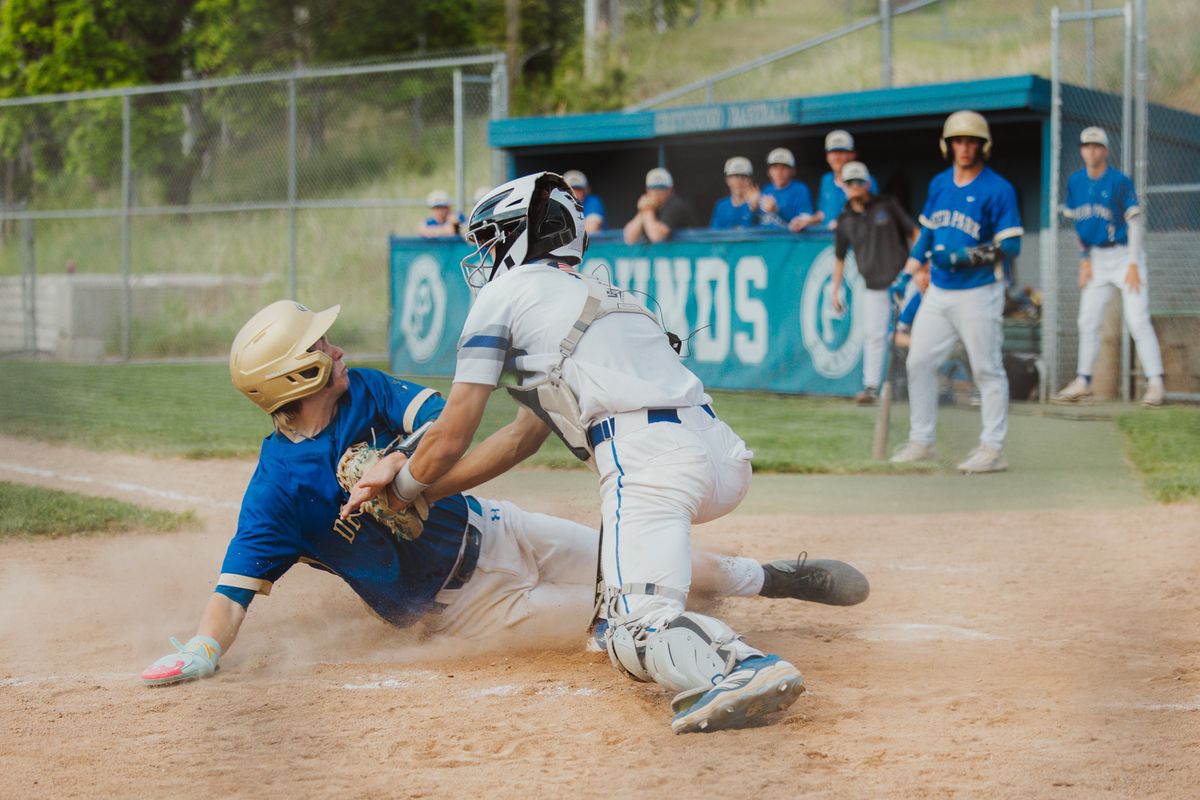 Play at plate sends Hounds to district title game