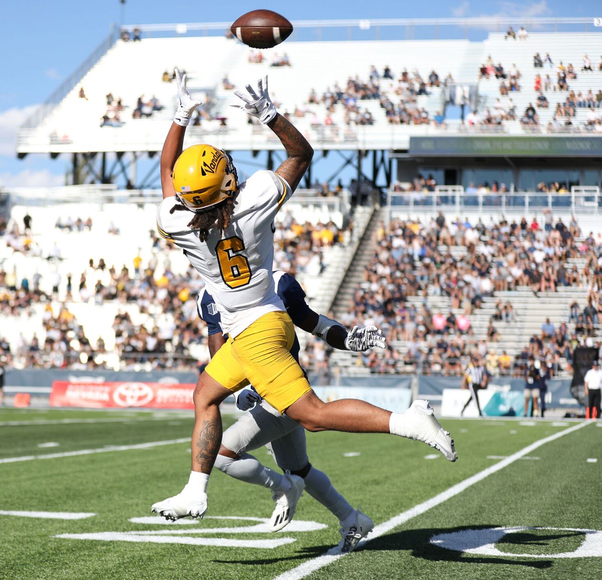 Vandals disband the Wolf Pack