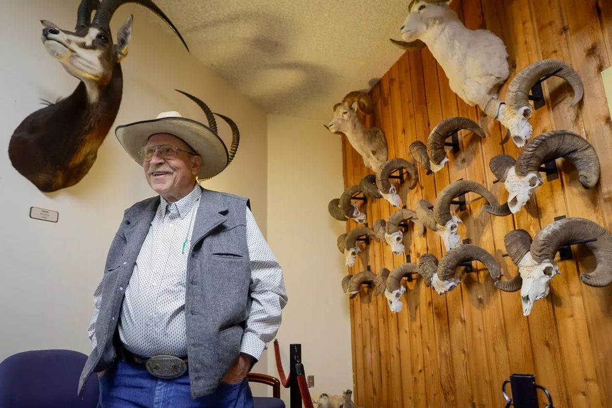 ‘They’re Idaho horns’
