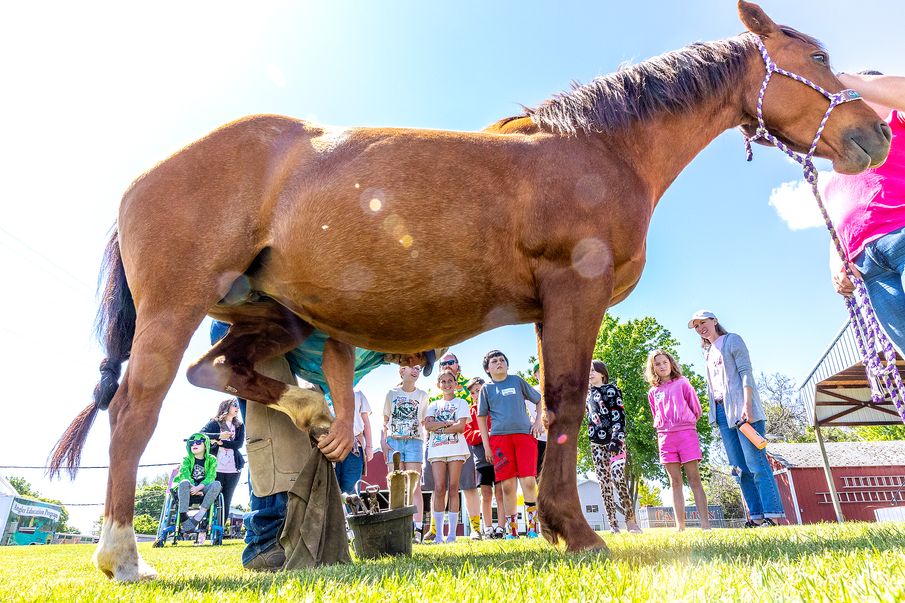 A dive into Idaho history