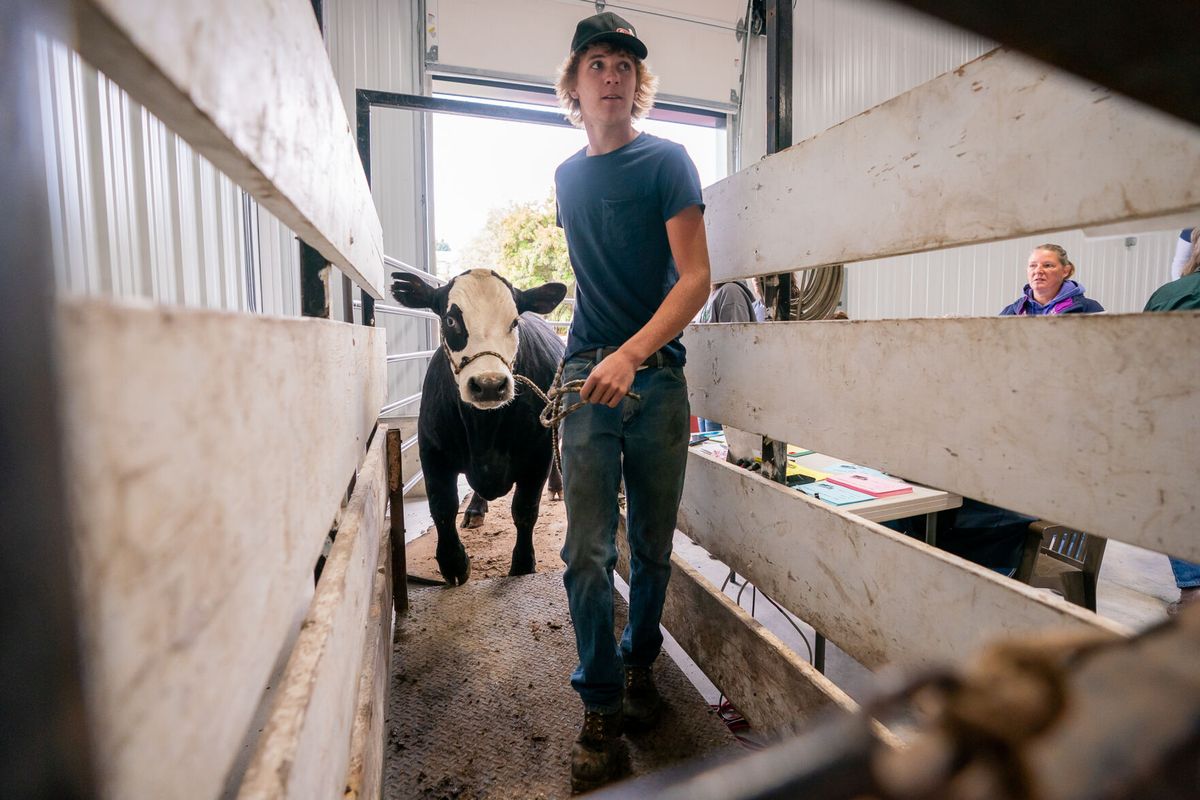 New Lewis County fair pavilion makes its debut