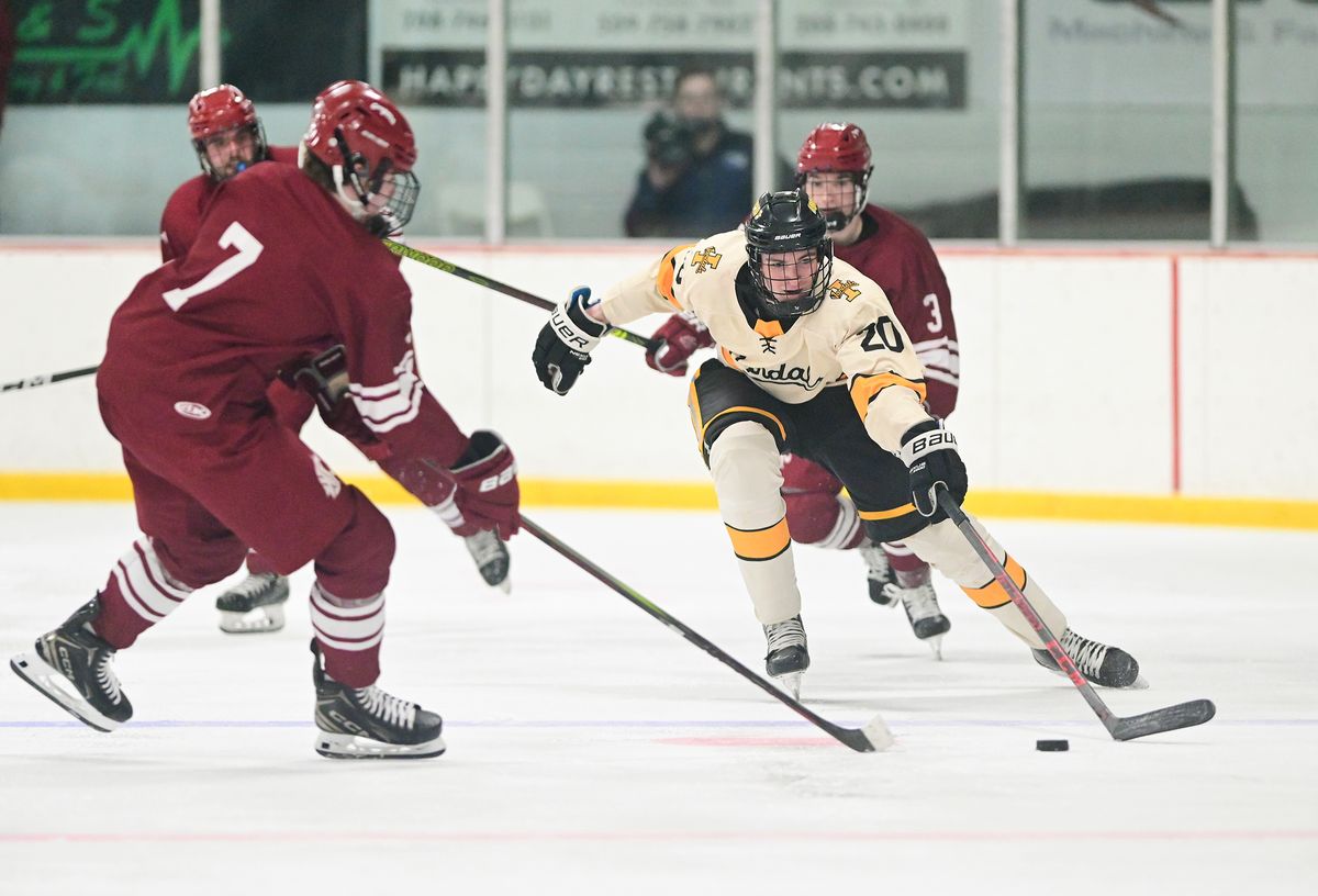 Valley packs the rink at ‘Save LC Ice’ event