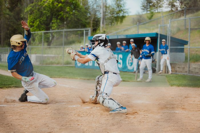 Play at plate sends Hounds to district title game