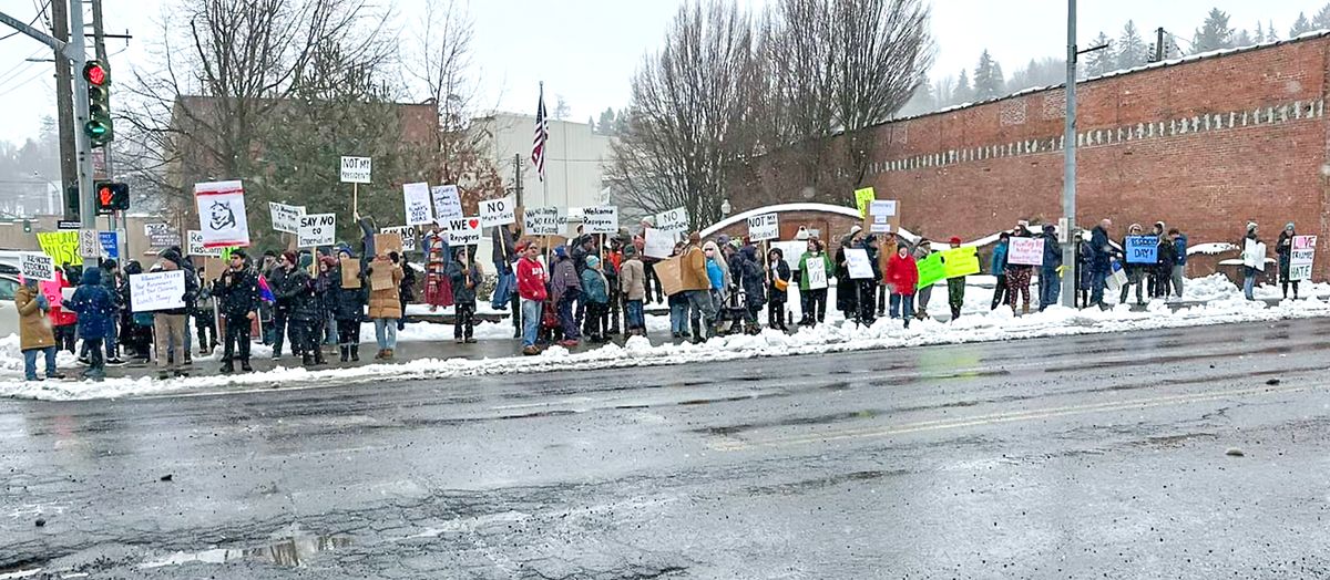 Pullman protest draws crowd