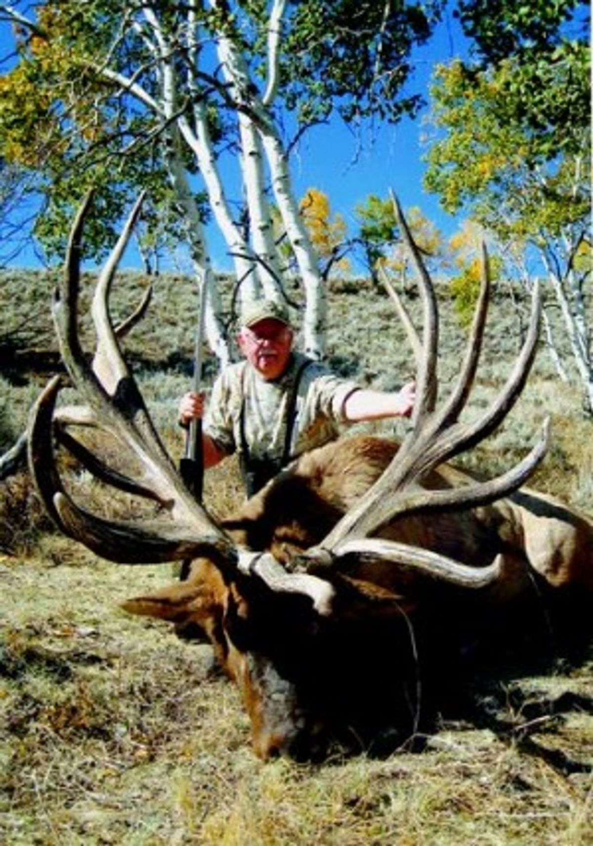 Spider bull spins world record