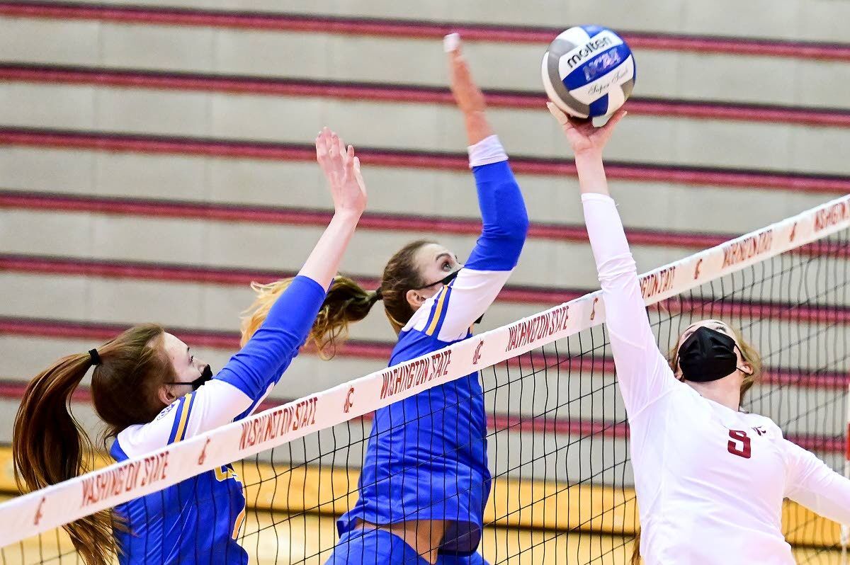 WSU volleyball navigates way back to NCAA tournament