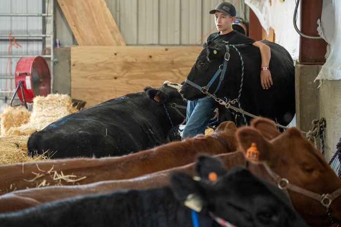 Young handlers connect with animals at Nez Perce County Fair