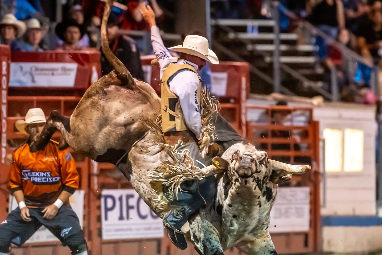 All the top rodeo pros are expected to appear in Lewiston Roundup
