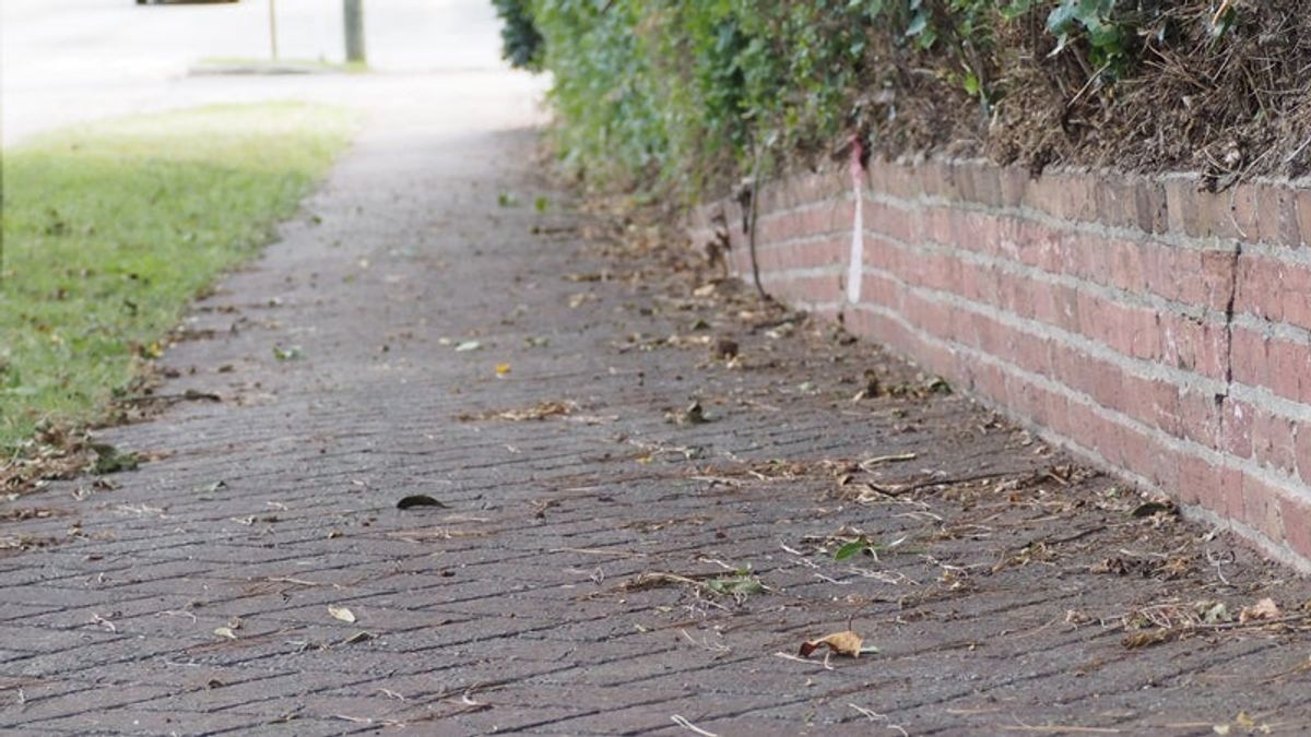 Sidewalk extension can proceed with or without Luter money, county say...