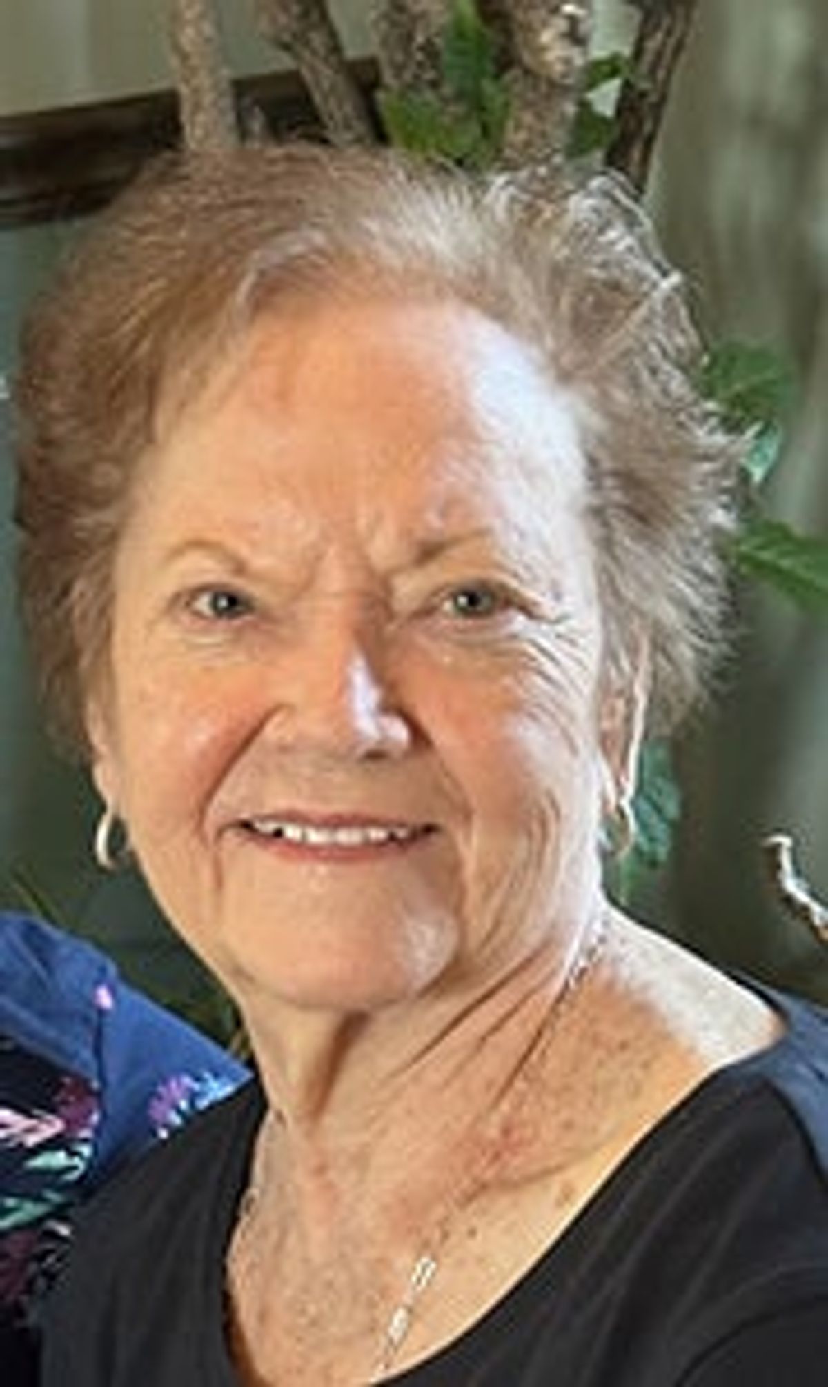 Elizabeth Carol Webb