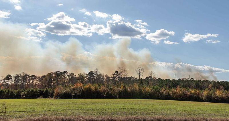 Firefighters battle major brush fire in central Isle of Wigh...