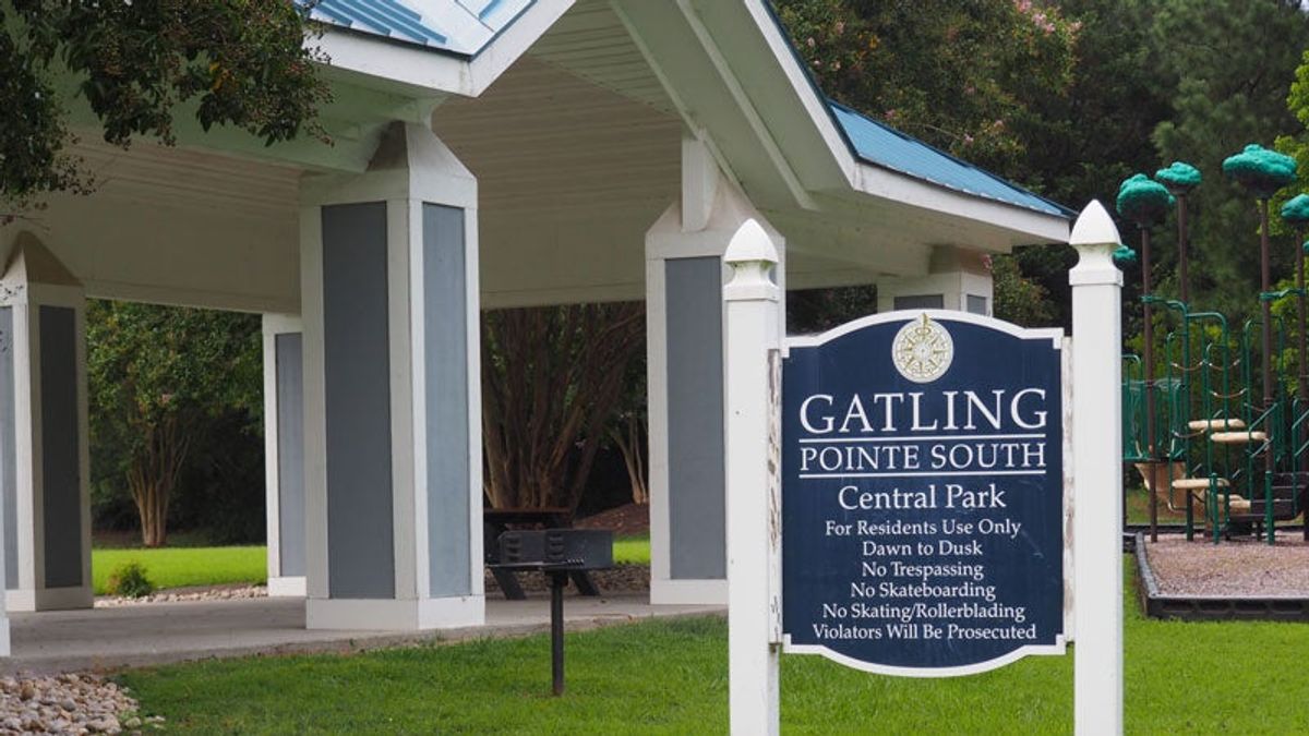 Gatling Pointe family encounters likely rabid fox