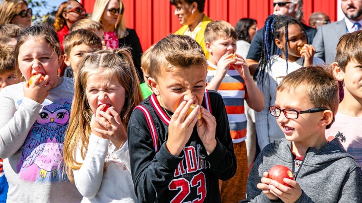 It's crunch time again at IWCS