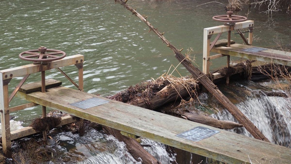 Nature Conservancy buys Sunken Meadow Pond in Surry County
