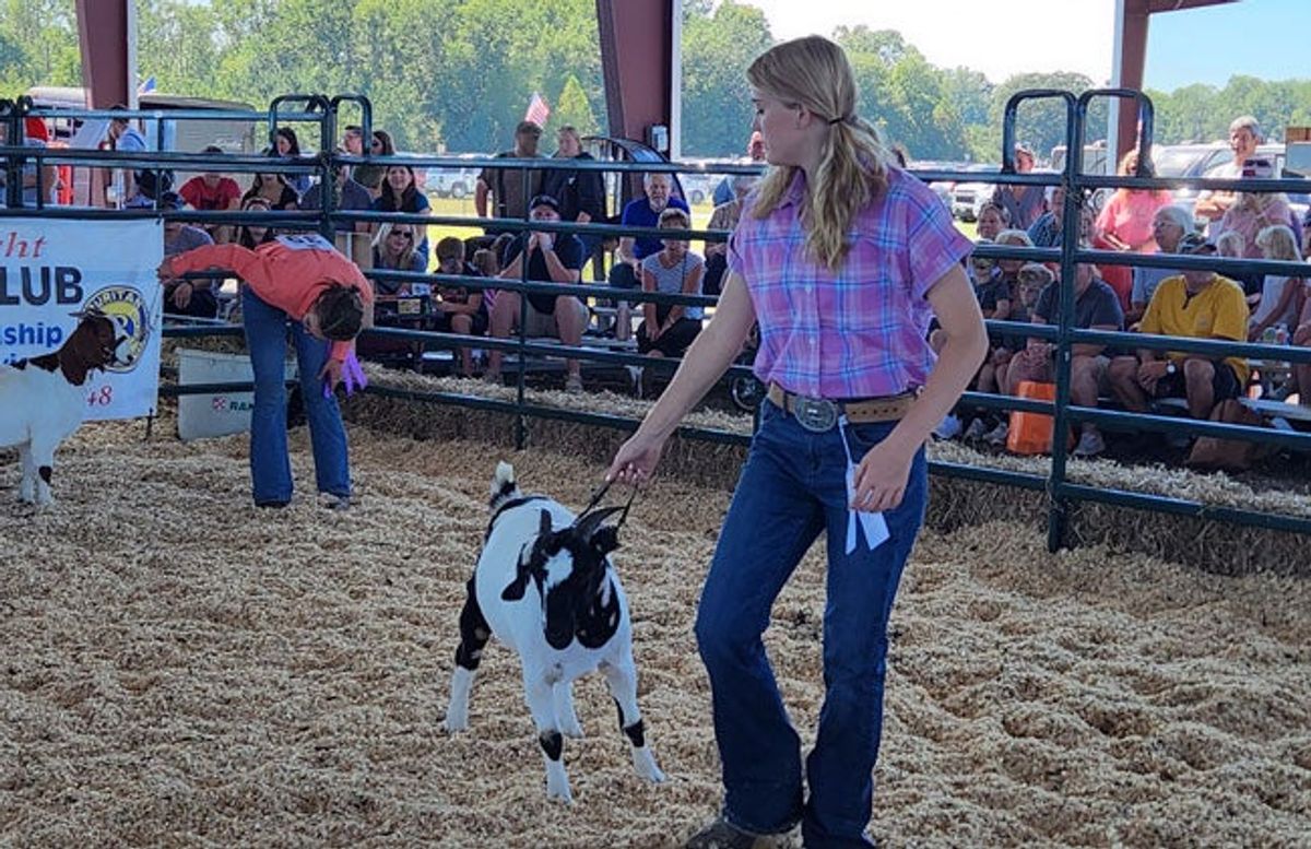 County Fair turns profit for third year