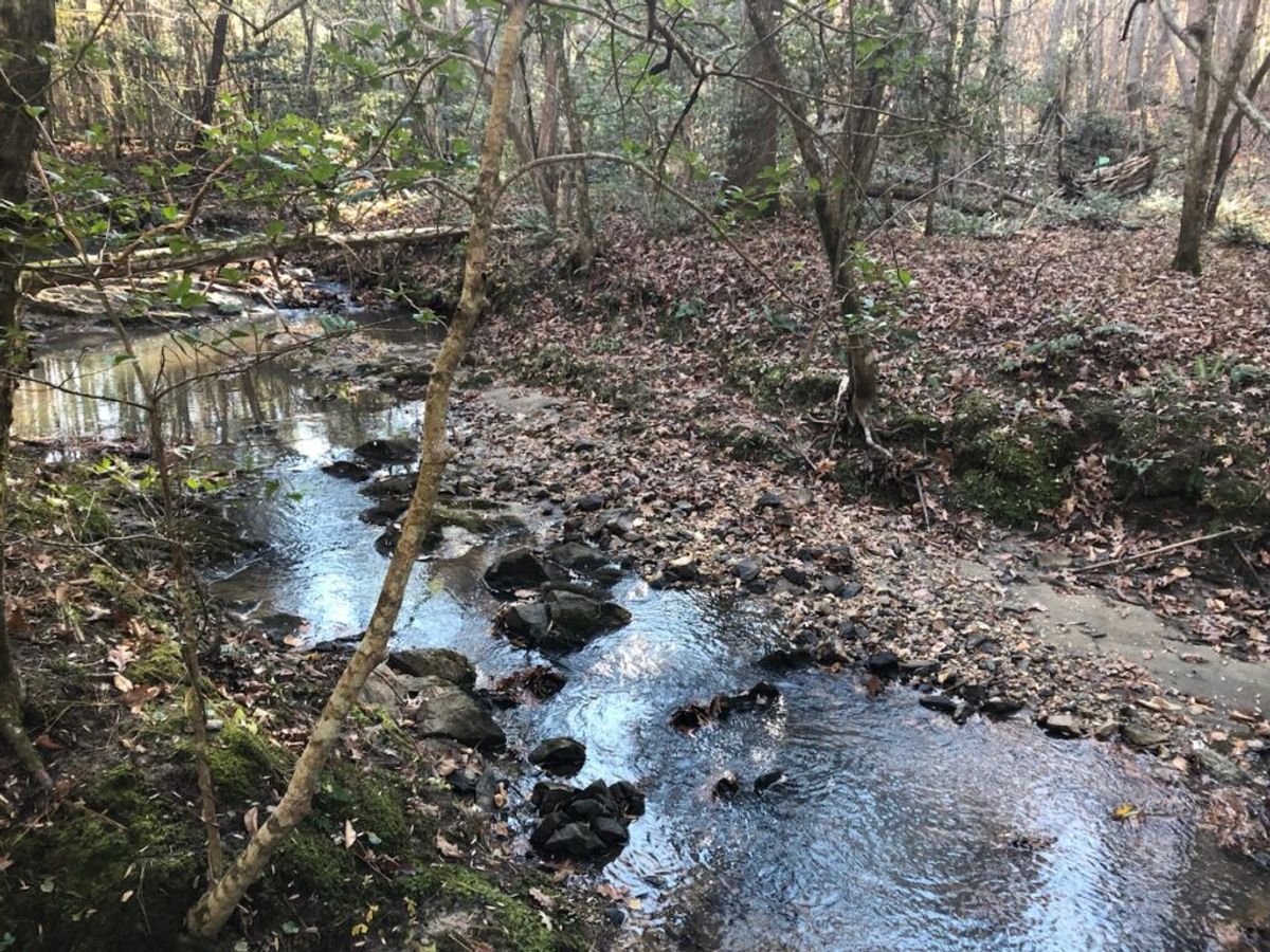 Triangle Land Conservancy protects land at Falls Lake