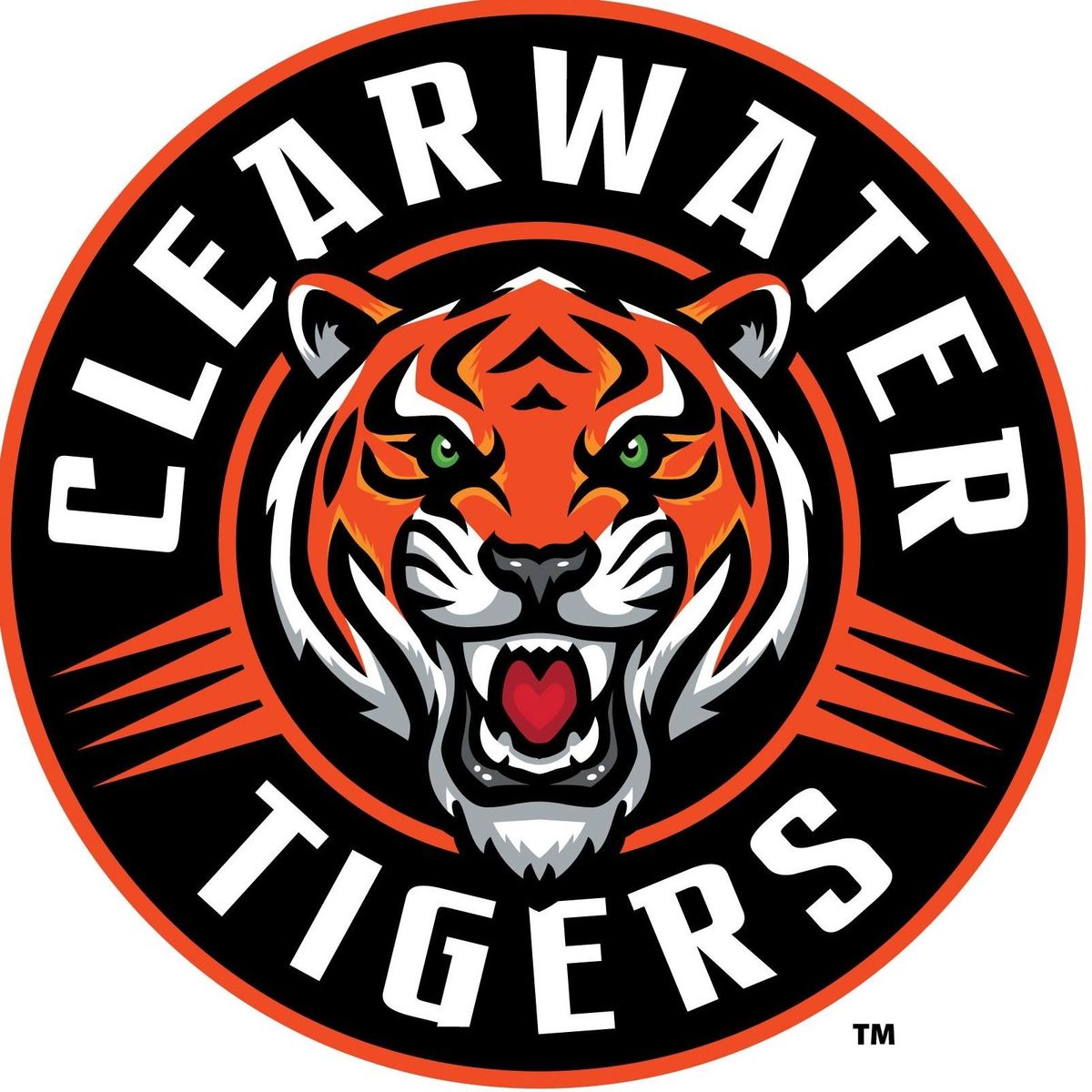 Clearwater Elementary names third quarter honor roll students in grade...