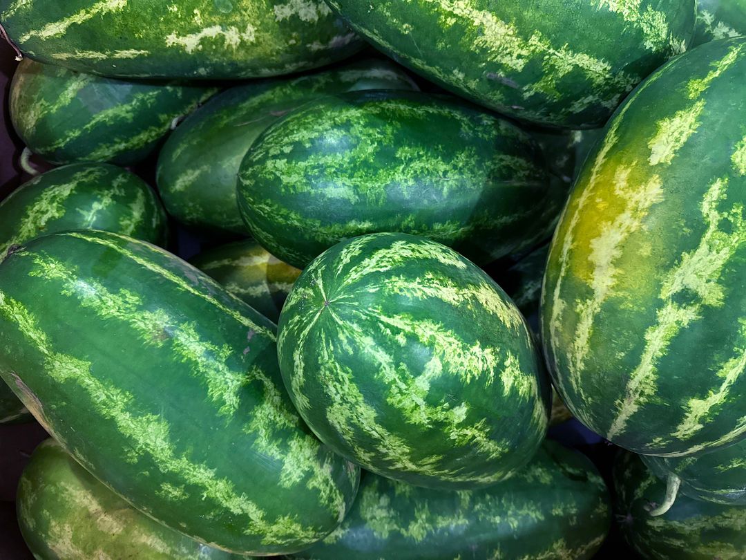 Wisdom for choosing the perfect watermelon