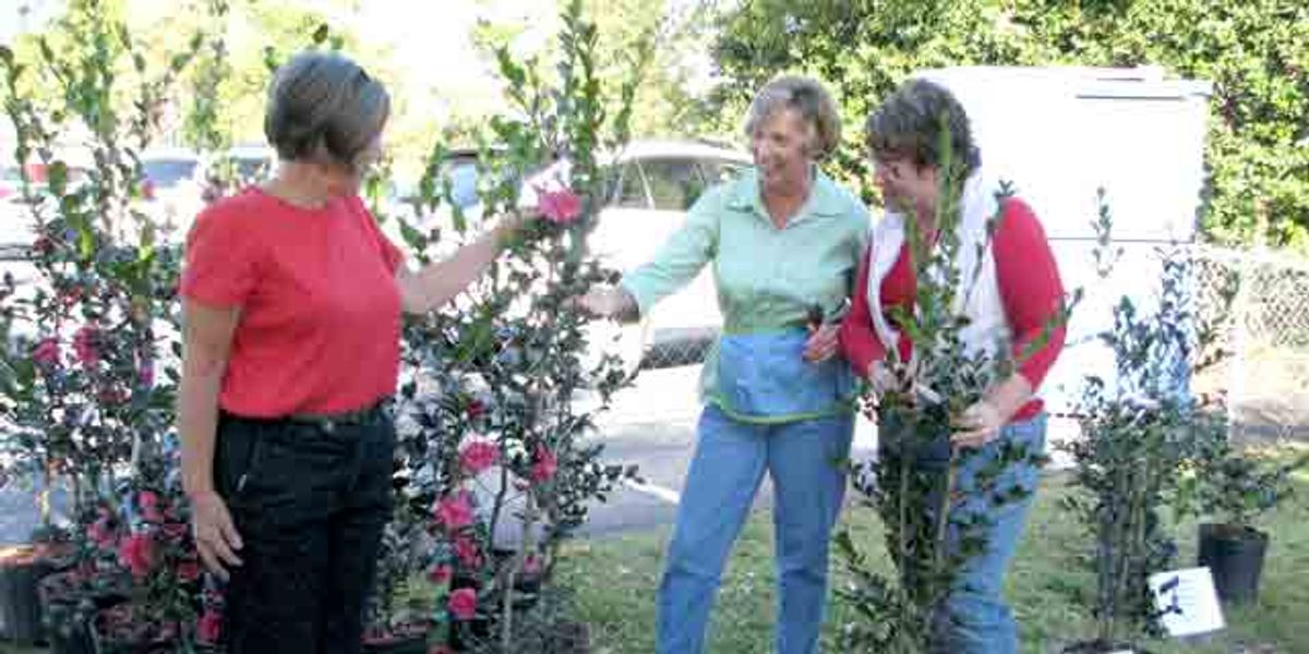 Garden Club plants still available