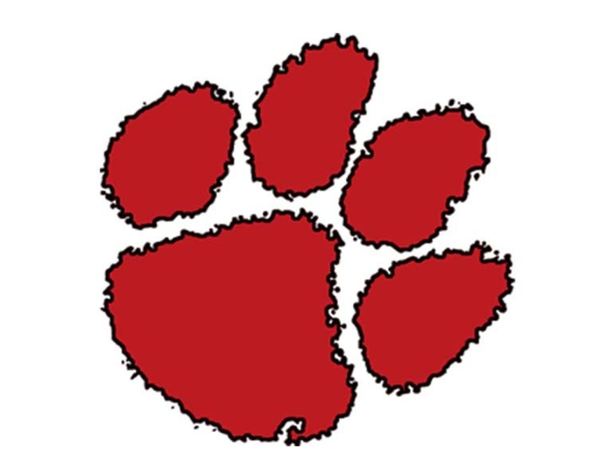 Tigers take region win in Excel: Cinch playoff spot