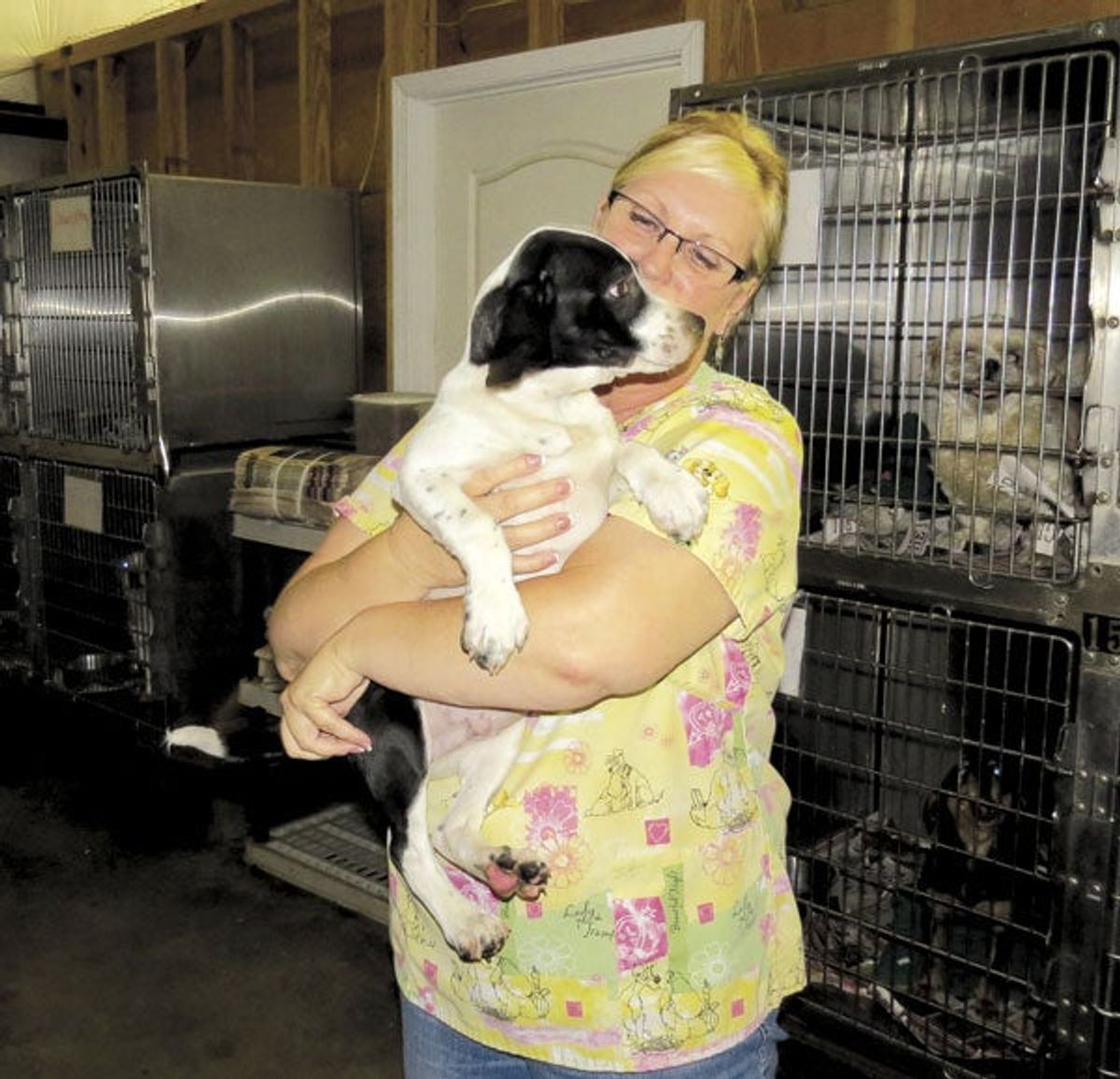 Shelter to start "puppy fostering" program