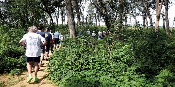 Chert quarry opens the past to public for first time