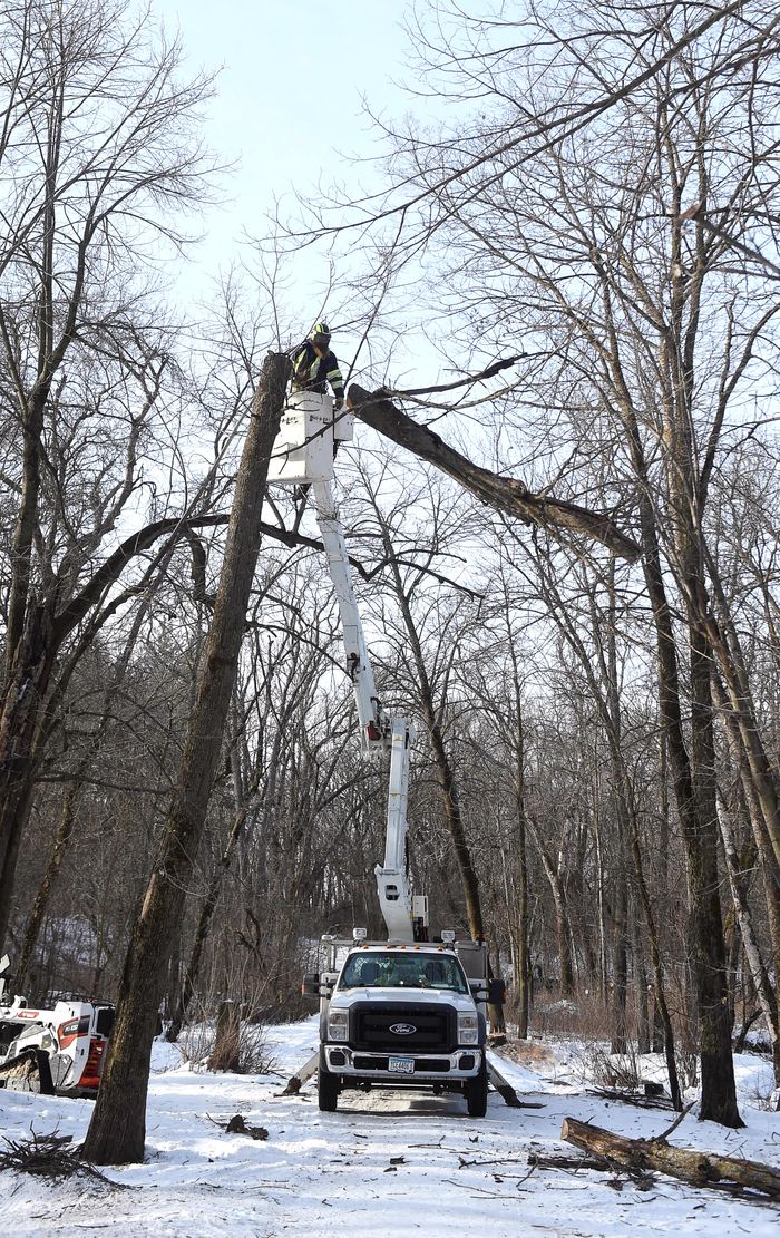 Nature Center begins removal of EAB affected ash trees along its trail...