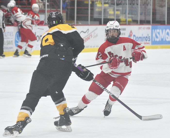 Packer boys hockey team can't complete comeback in loss to Cougars