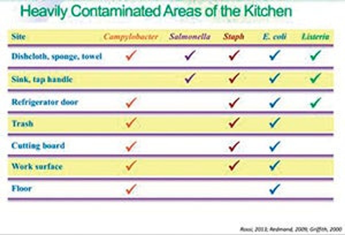 Avoid illness; keep your kitchen area clean
